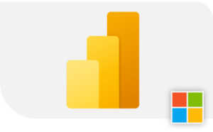 Microsoft Power BI - Bliss Systems